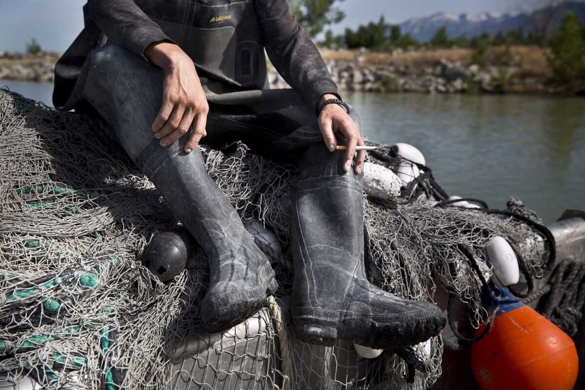 After many years, Utah Lake’s carp removal project starting to see some ...